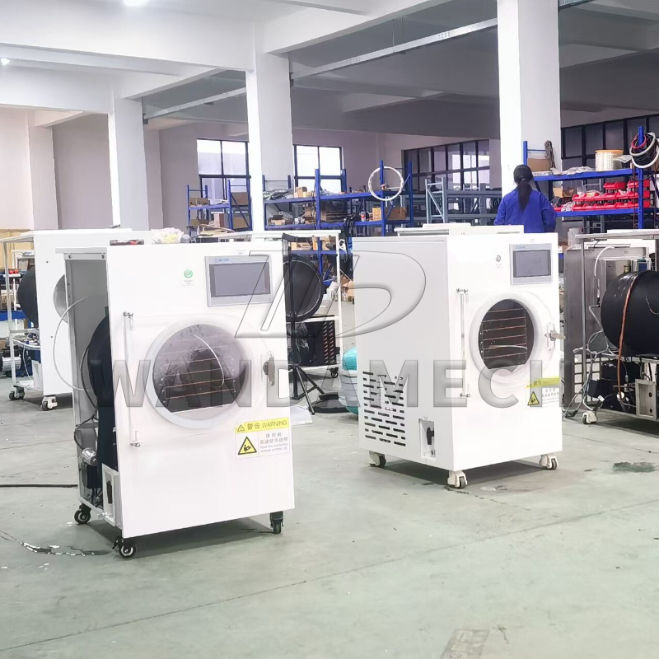 High Output Fruit Vegetable Freeze Dryer Vacuum Freezing Drying ...