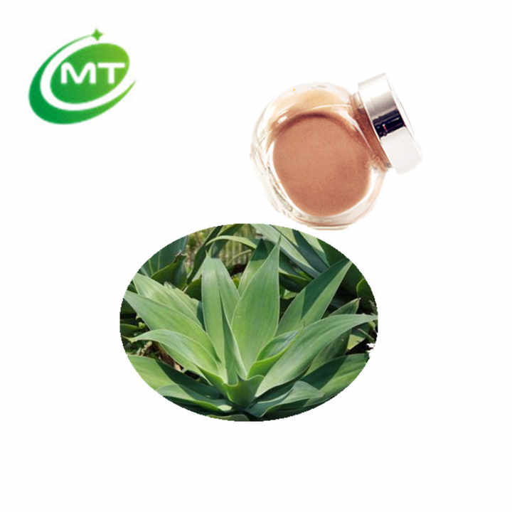 Agave Americana Leaf Extract - High Quality Cosmetic Ingredient