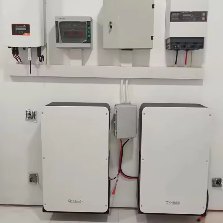 Dyness DL5.0C 51.2V 100AH Lifepo4 Battery - 6000 Cycle 95%DoD 1C Discharging Wall Mounted for ...