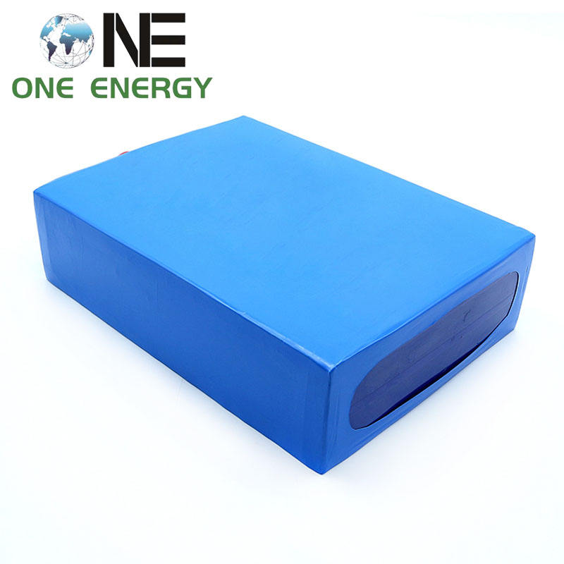 51.2V 20Ah LiFePO4 Battery Pack for Electric Bicycle and E-bike with ...