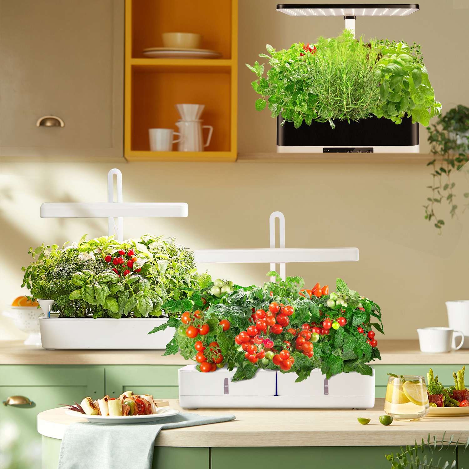 How to Choose the Best Hydroponics Beetroot Planter for Your Needs