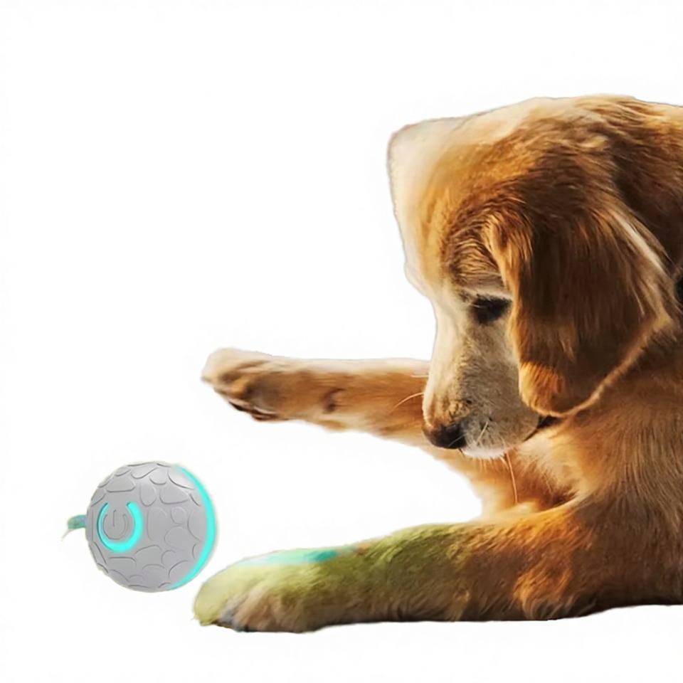 Red Cartoon Laser Training Toy for Dogs & Cats-650nm Rechargeable Pet ...