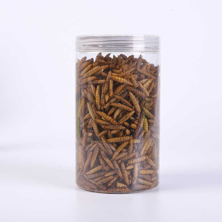 Black Soldier Fly Larvae Powder Edible Worms BSFL Meal Insect Protein ...
