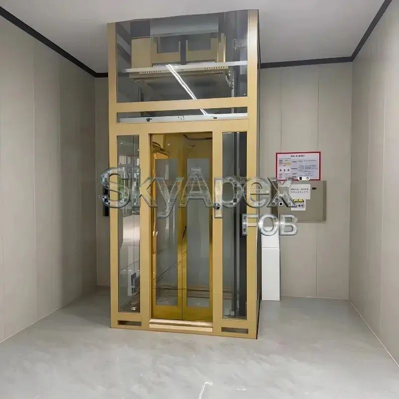 Modern Gearless Home Elevator Villa Passenger Lift Two Floor ...