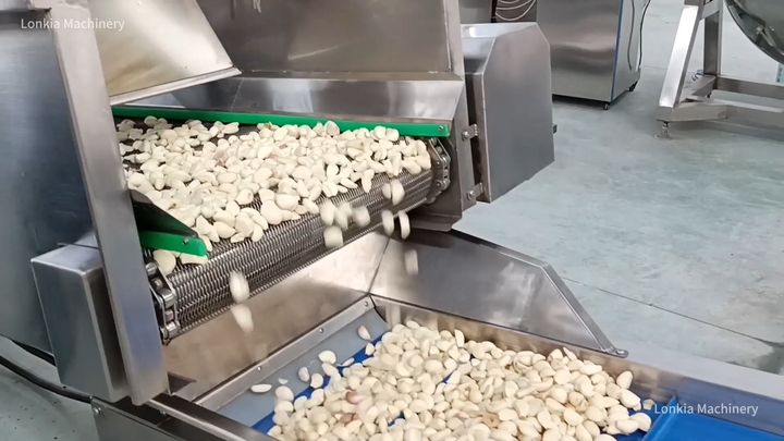 Professional Garlic Peeling Machine Nitrogen Packing Industrial Garlic ...