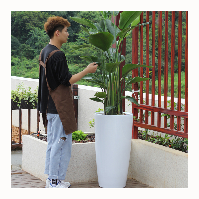 How to Choose the Best Large Plastic Plant Dome for Your Garden