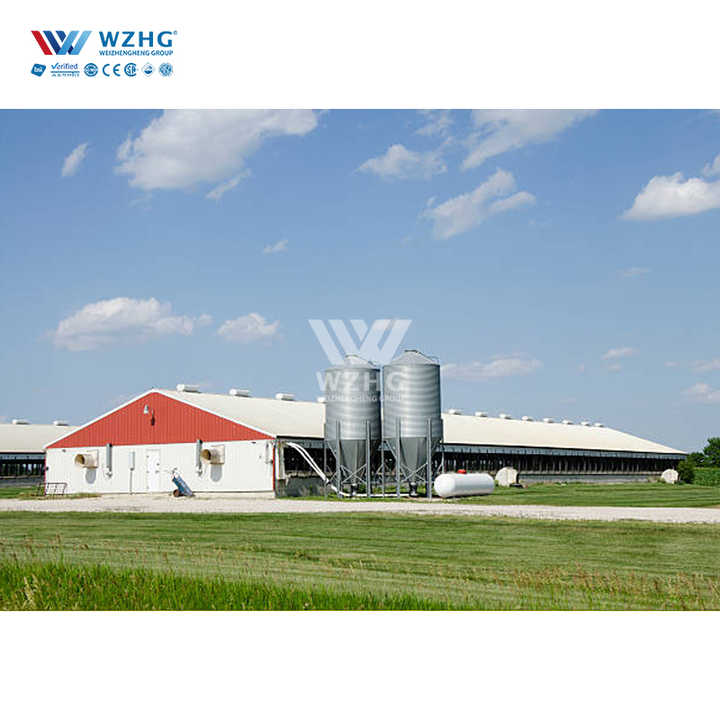 Autocad Steel Structure Broiler Chicken Farm Design Poultry Shed ...