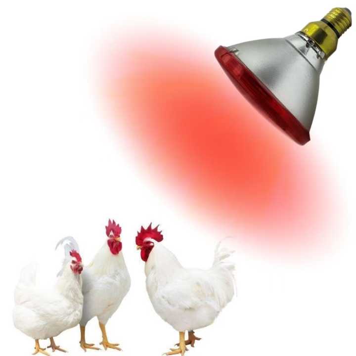 Factory Hot Sale Farm Heater Poultry Heating Lights Outdoor Waterproof ...