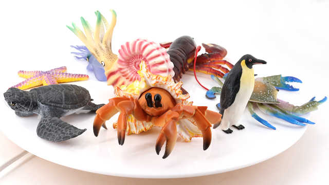 Solid PVC Simulation Sea Life Models - Educational Toys