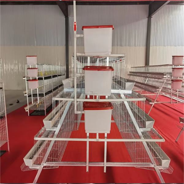 Durable and Efficient chicken layer cage with automatic drinking system ...