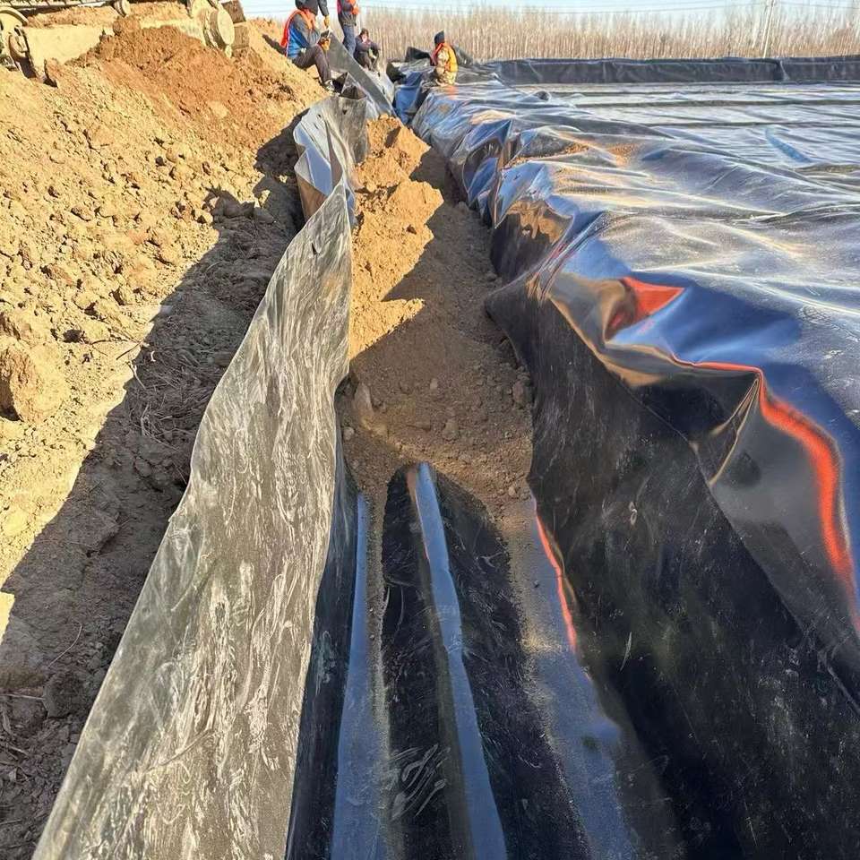 Geomembrane HDPE 1.0mm 1.5mm 2.0mm Thickness Modern Pond Liner for ...