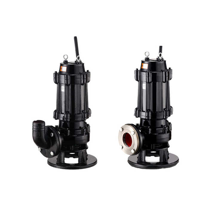 WQD Single-phase Farm Irrigation Sewage Pump 220V Sewage Electric ...