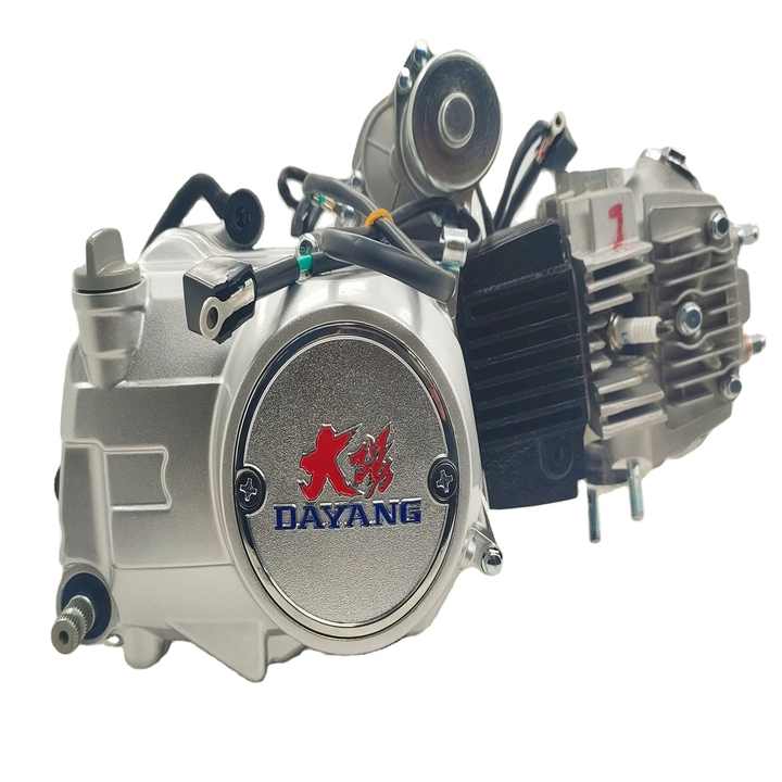 DAYANG 110CC Engine - High Quality Chinese Motorcycle Power