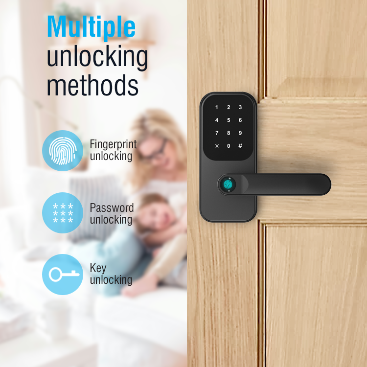 Te'an Smart Electric Digital Door Lever Handle Lock Fingerprint Locks Password for Home Wood ...