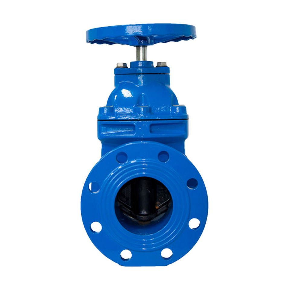 2025 Ductile Iron DN 80 PN16 Gate Valve Prices & Details