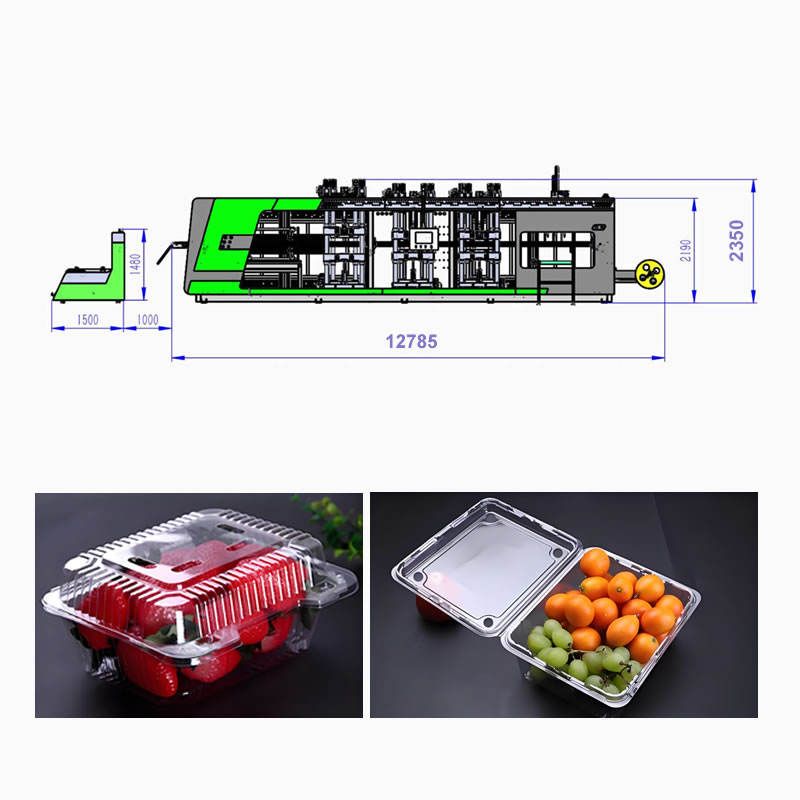 Four Stations Automatic Plastic Fast Food Box Container Thermoforming ...
