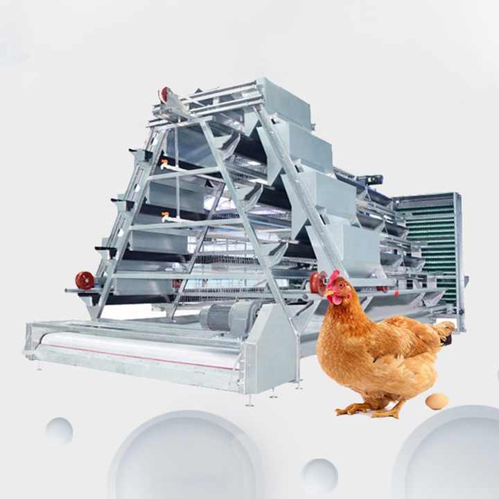 Layer Coop Layers Egg Battery Rtl Cages Farms Sale House Poultry A-type ...