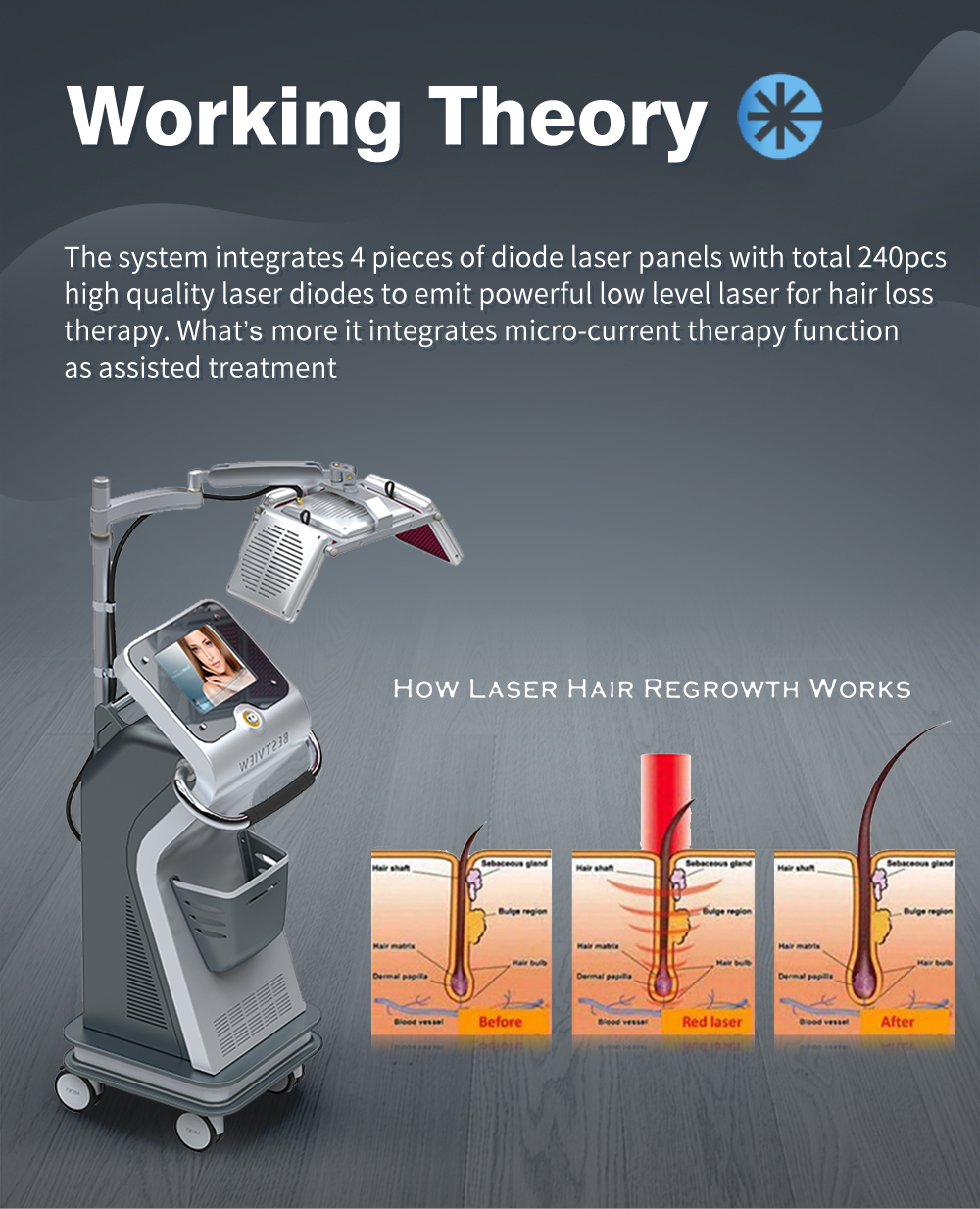 CE Anti Hair Loss Medical Therapy Machine Diode Laser Hair Regrowth ...