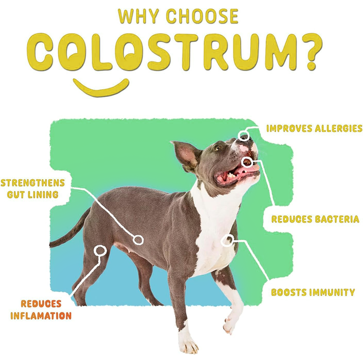 100% Bovine Colostrum for Dogs Cats 60 Servings Non-GMO Gluten-Free ...