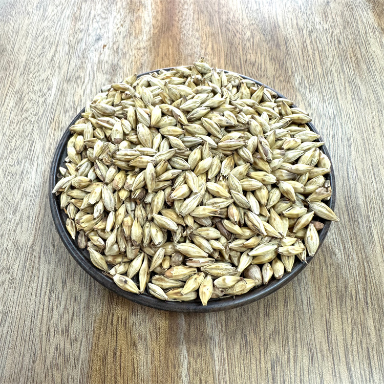 How to Choose the Best Germinated Barley for Your Needs