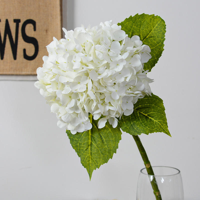 How to Choose the Best Green Form for Flowers: A Complete Buying Guide