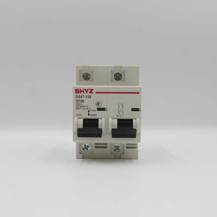 High Quality Miniature Circuit Breaker (MCB) RCCB with 2P Poles 10ka Breaking Capacity for ...