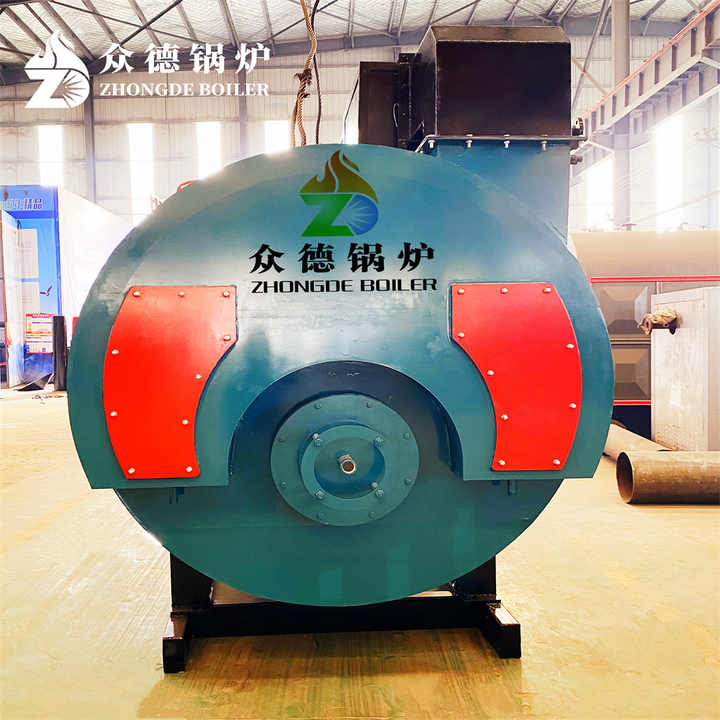 WNS Series Safety/efficiency Integrated Horizontal Textile/food ...