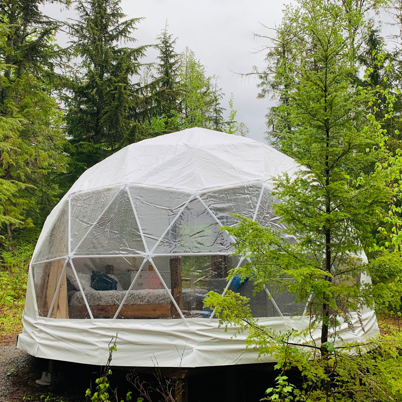 How to Choose the Best Glass Dome with Black Base: Buying Guide