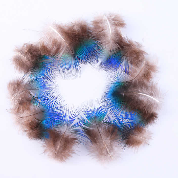 Natural Blue Peacock Feathers Handmade DIY Jewelry 3-5 cm /1-2 Inch ...