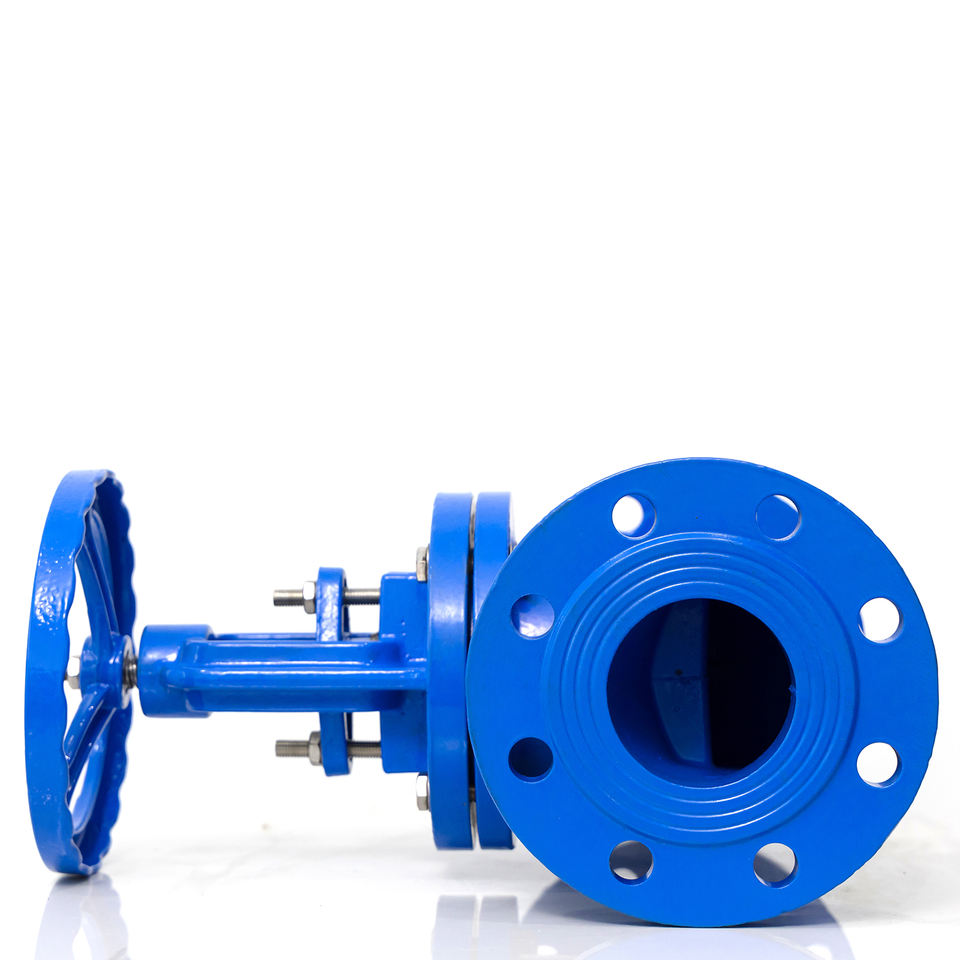 Customizable H44H-16C Manual Flanged Check Valve Heavy Body Stainless Steel Stop Structure for ...