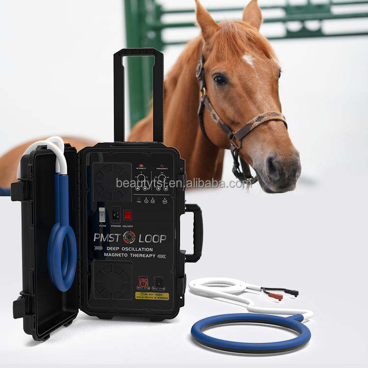 Dr.Physio Portable PMST LOOP Magnawave for Horse Pemf Mat X-wing Large ...