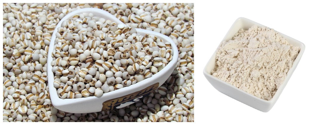 China Coix Seed Powder Manufacturers Suppliers Factory - High Quality ...