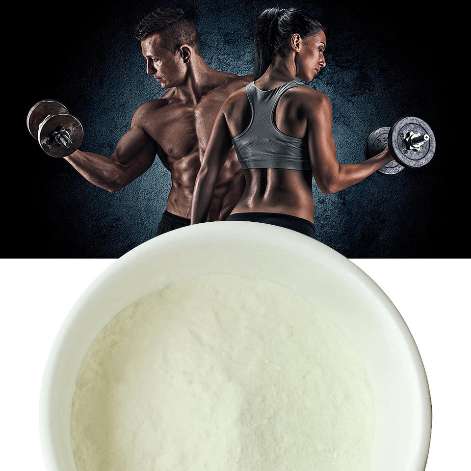 Wholesale Creatine Powder 500g Fitness Supplement Pure Creatine ...