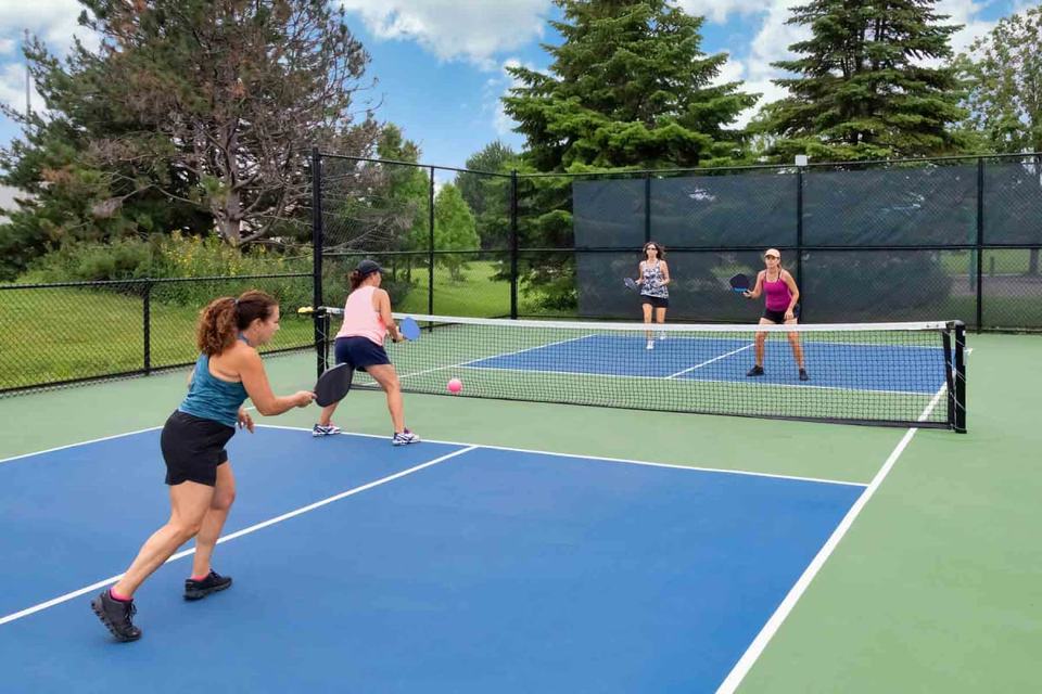 China the Whole Pickleroll Portable Pickleball Court