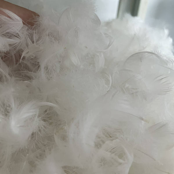Canada Goose Feather White Goose Feathers 2-4cm Pillows Stages Masks ...