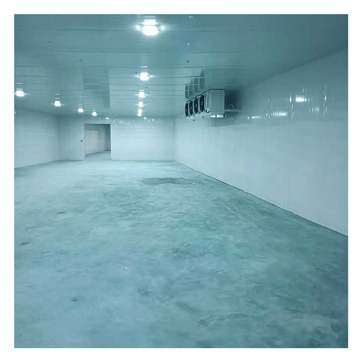 -18 Degree Low Temperature Cold Room Compact Refrigerated Cold Storage ...