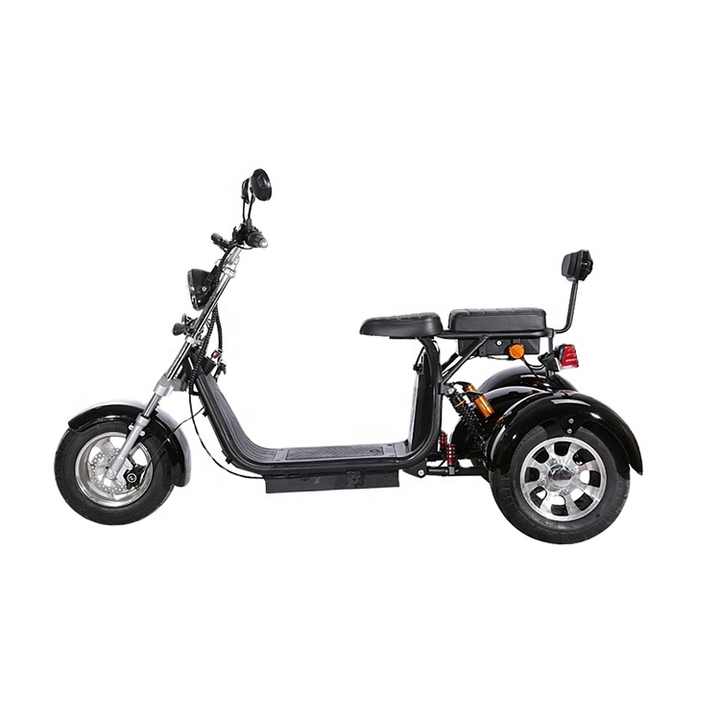 COC/EEC Three Wheel Bicycle with 2 Seat 3 Wheel Electric Scooter ...