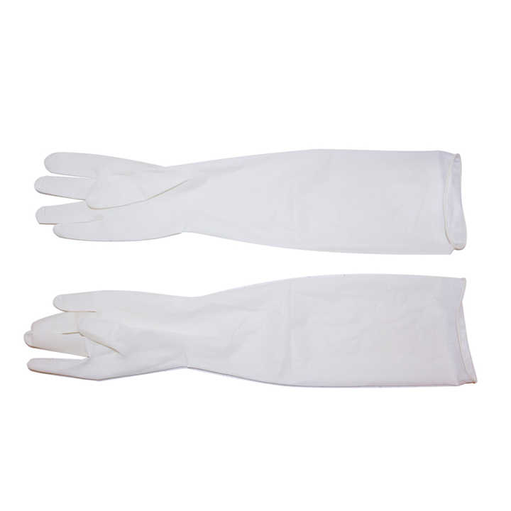 Elbow Length Gynecology Gloves - White Long Cuff Surgical Latex Gloves ...