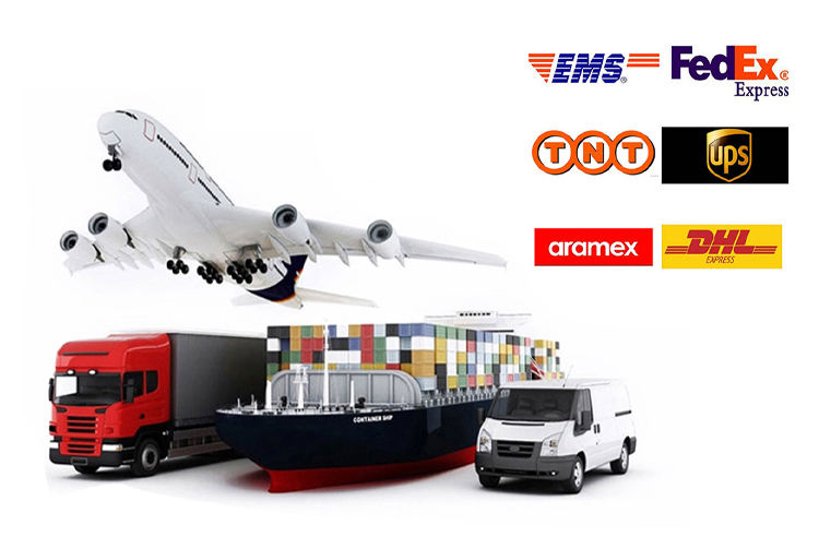 How to Choose the Best Retractable and Foldable Christmas Decorative Tree