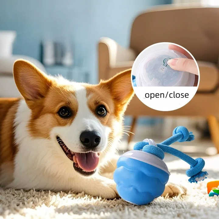 Interactive Dog Toy - Rechargeable Squeaky Ball with Rope