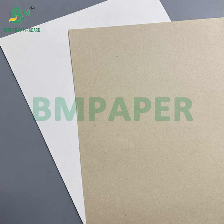 Eco-friendly Bagasse Pulp Paper - Biodegradable & Durable