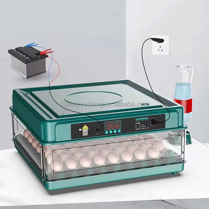 Higher Hatching Rate with Fully Automatic Egg Incubator