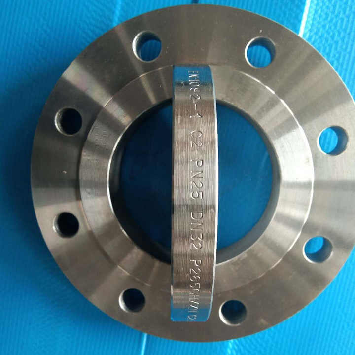Plate Flange DN20 DN40 Pn40 Flange Din Standard - CZIT