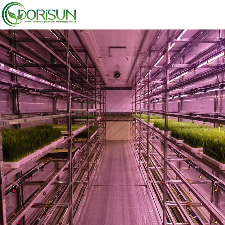 40 Foot Container Intelligent Mushroom Growing Room