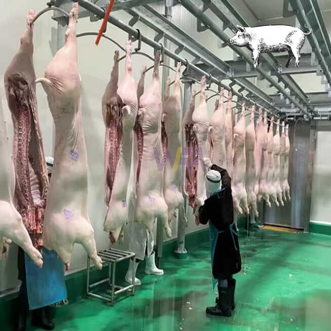 Commercial Slaughterhouse Sow Abattoir Slaughtering Equipment for Pig ...
