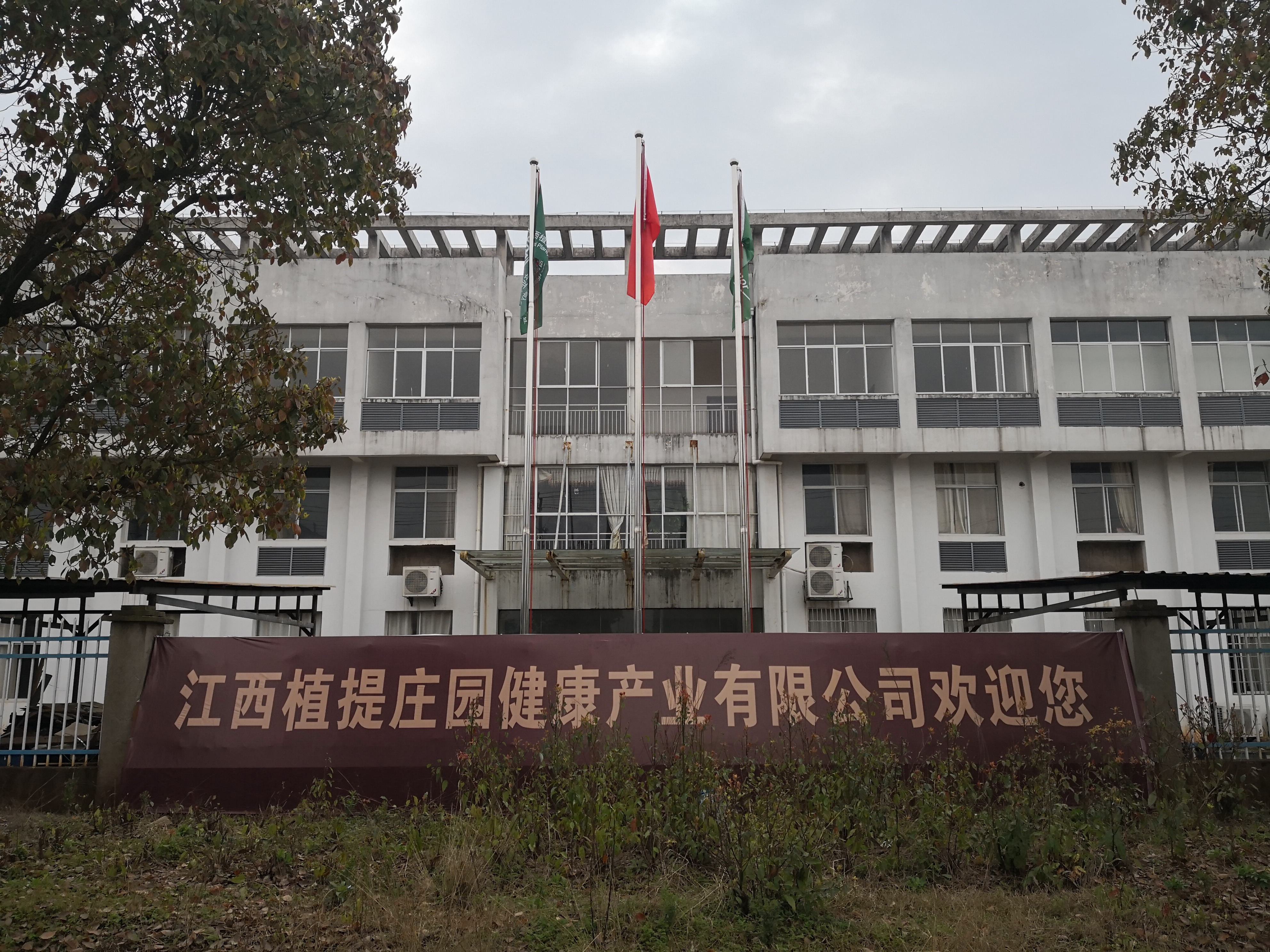 How to Choose Refined Black Cumin Seed Oil: A Complete Buyer's Guide