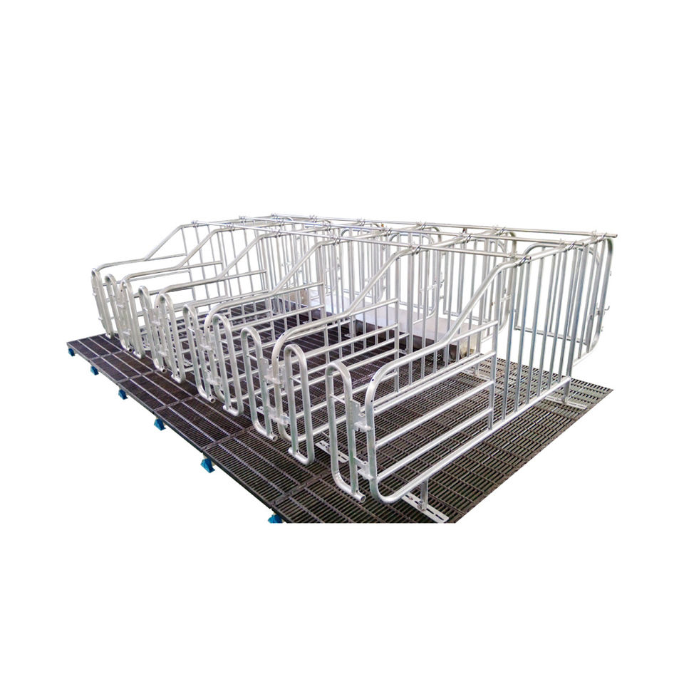 Pigs Farm Equipment Food for Pigs Gestating Cage Pig Farm Gestation ...