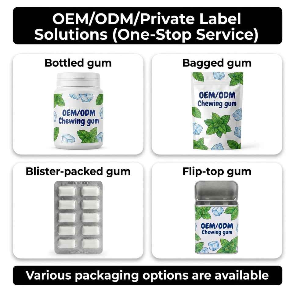 Wholesale Chinese Snacks Watermelon Fruit Bubble Gum BRC Halal Custom ...