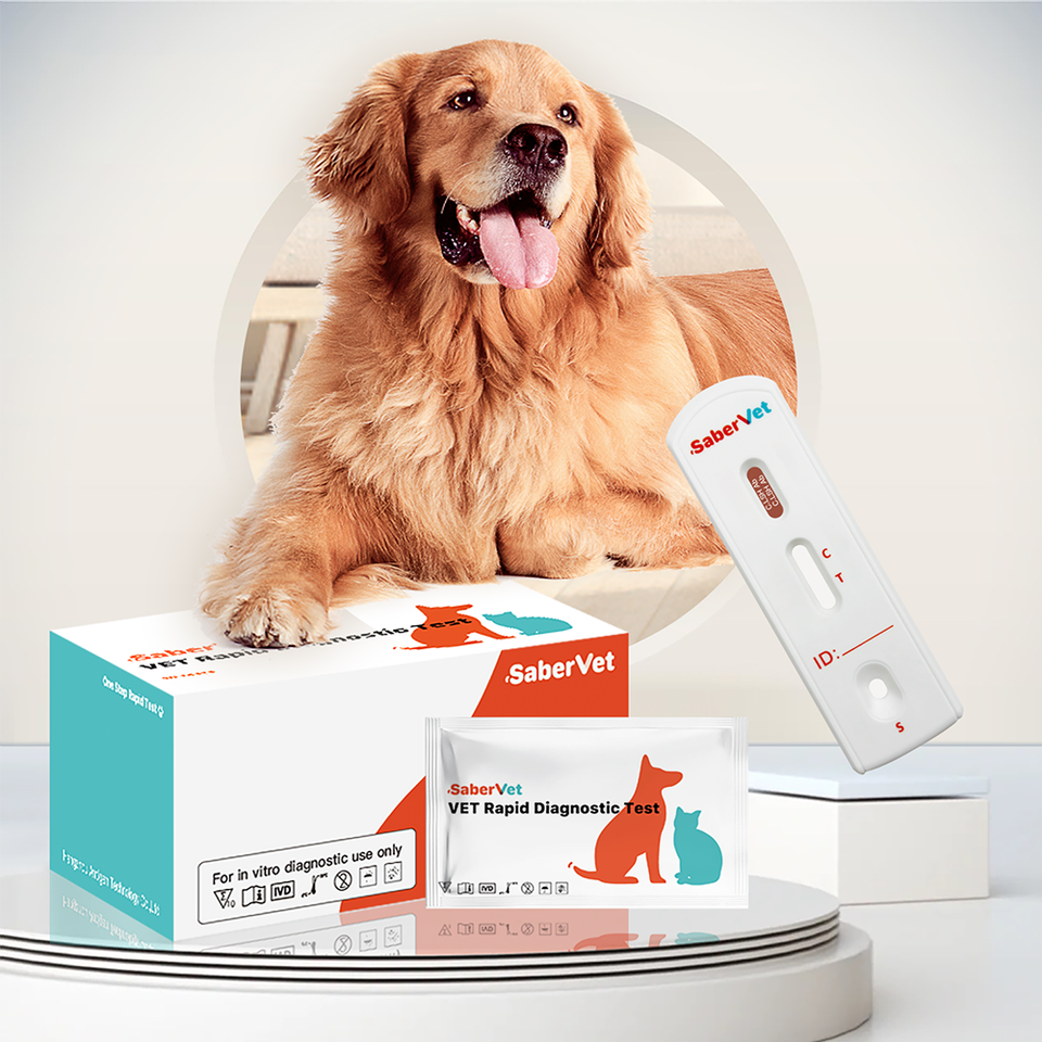 Veterinary Pet Diagnostic Test C.LSH Ab Canine Leishmania Antibody ...