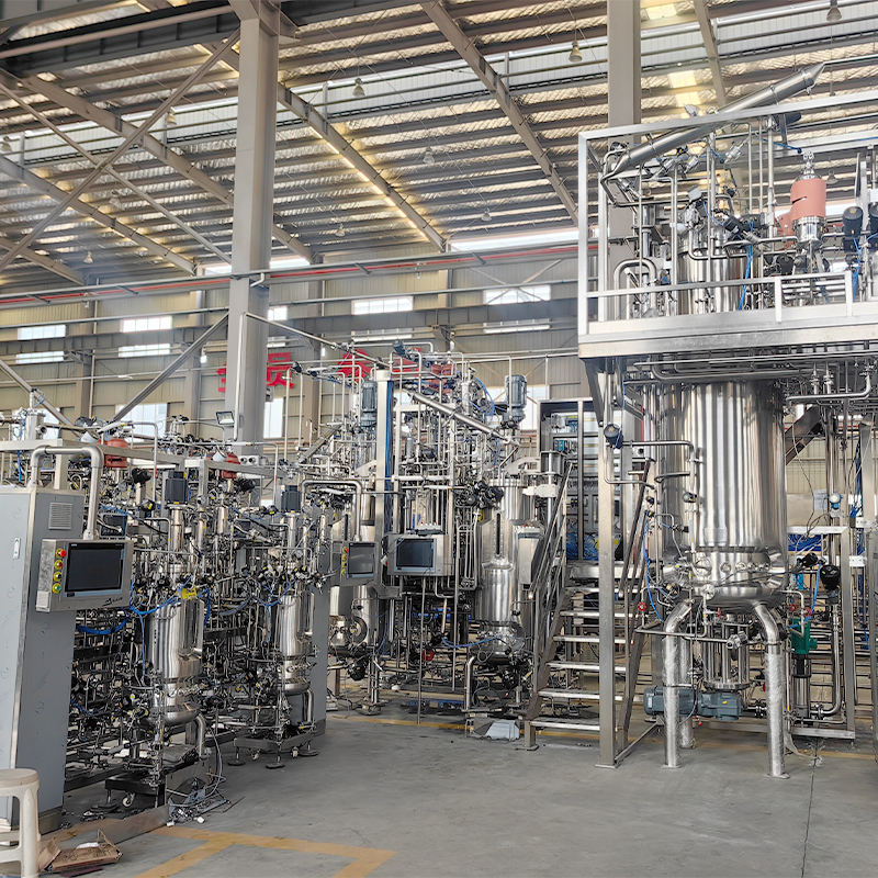 GMP PLC Controlled Stainless Steel Bioreactor 50-15000L